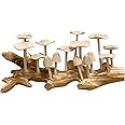 Amazon.com: Wooden Mushroom Decor, Mushroom Wall Art Decor, Handmade ...