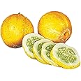 Amazon.com : Burpee Lemon Cucumber Seeds 100 seeds : Patio, Lawn & Garden