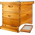 Amazon.com: MayBee 8 Frame Screened Bottom Board Beehive Dipped in 100% ...