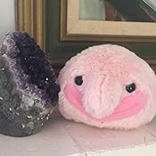 Amazon.com: Hashtag Collectibles Stuffed Blobfish - Smiling Edition ...