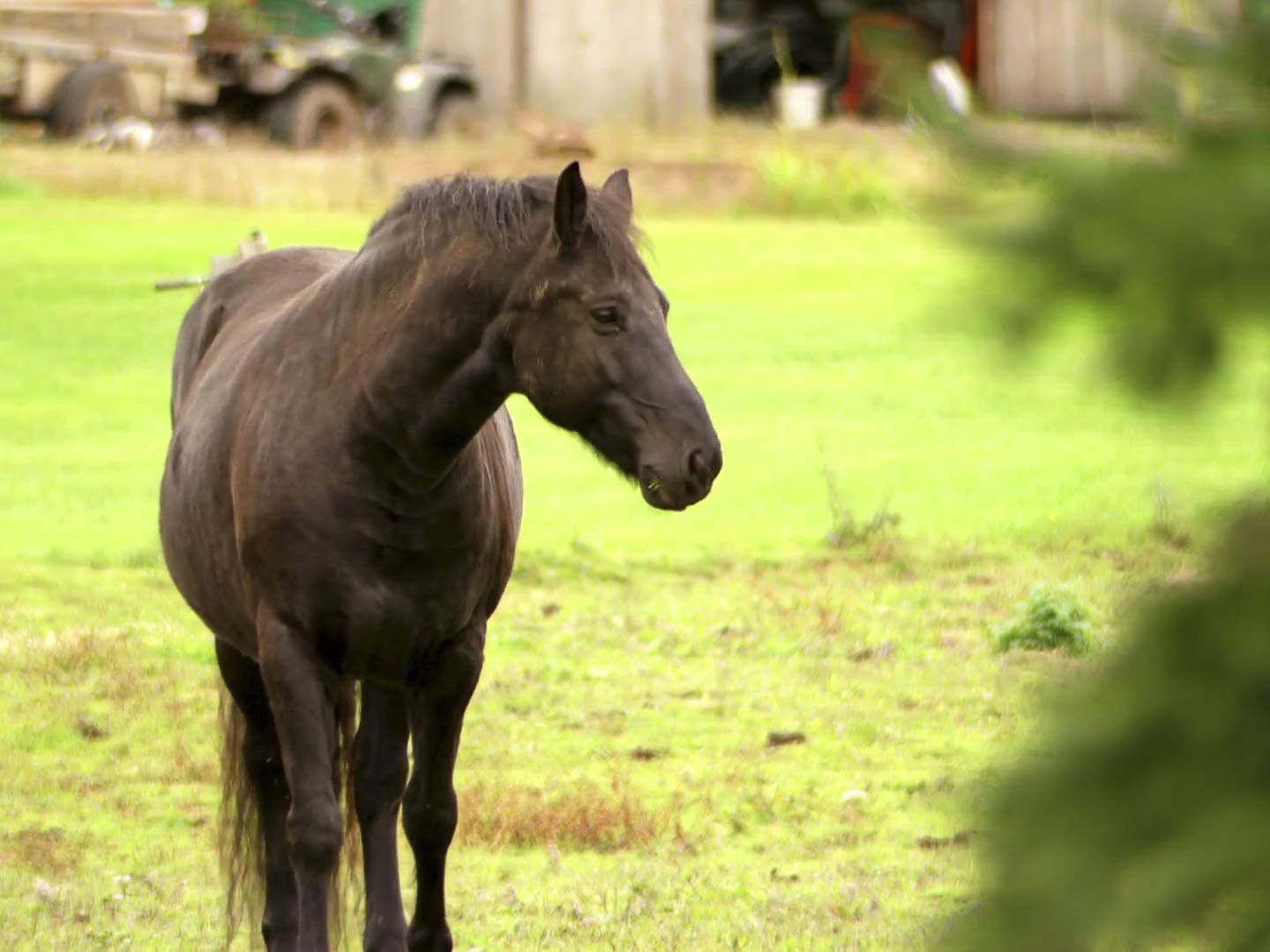 Watch Beaver Brothers - Season 1 | Prime Video