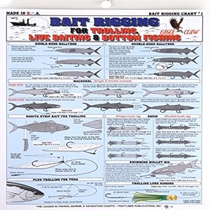 Amazon.com : Fishermans Bait Rigging Chart #1 : Fishing Charts And Maps ...