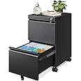 Amazon.com: AODK File Cabinet for Home Office, Fully Assembled Filing ...