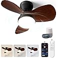 Amazon.com: OKELI Alexa Smart Ceiling Fans, 24 inch Small Ceiling Fans ...