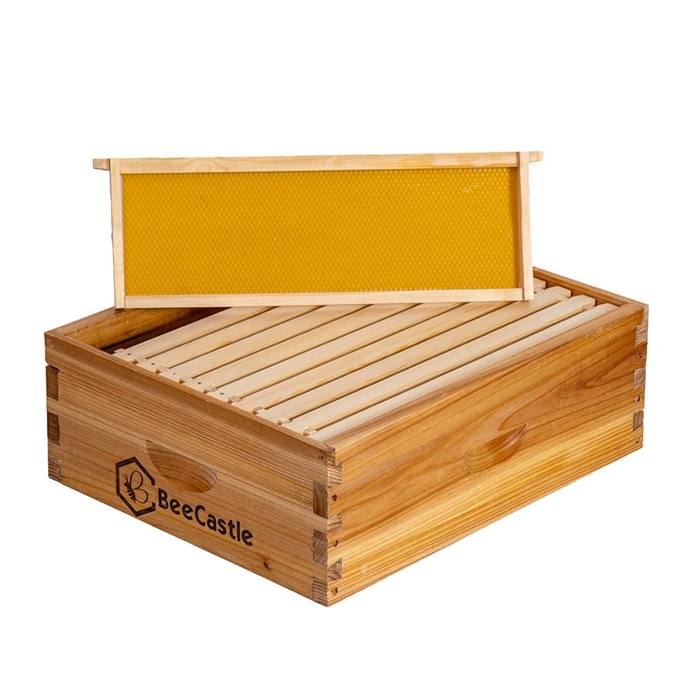 Mua BeeCastle 10 Frame Medium Super Bee Hive Box, Langstroth Honey Bee ...