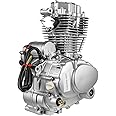Amazon.com: 200CC/250CC ATV Engine Motor Kit 4 Stroke Single Cylinder Air-Cooled Vertical Engine ...