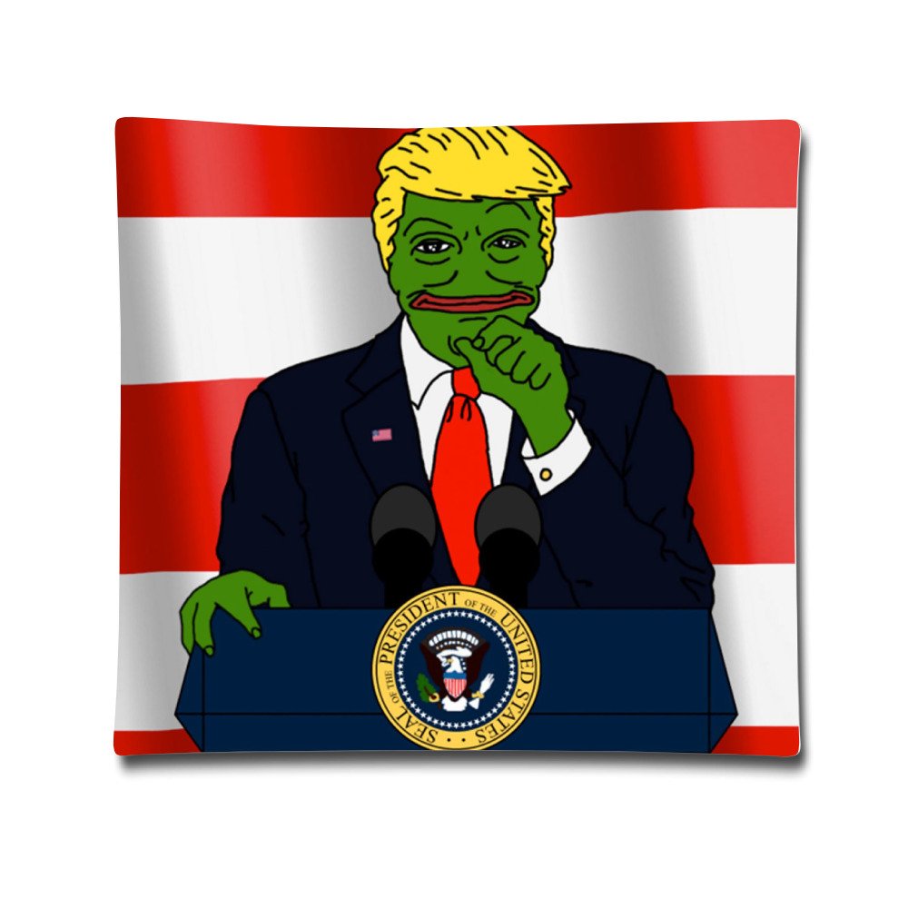 Amazon.com: DEMOO Pepe The Frog Trump Pillow Case Cushion Cover (18"x ...