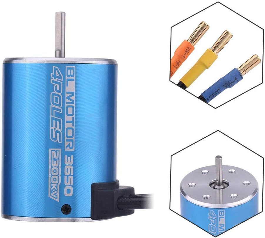 Dilwe RC Car Brushless Motor, Surpass 3650 2300KV Brushless Motor for 1 ...