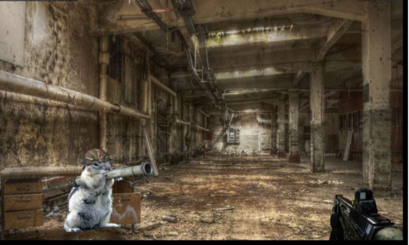 Squirrel Blaster:Amazon.com:Appstore for Android