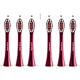 Amazon.com: Replacement Toothbrush Brush Heads for Wagner & Stern and ...