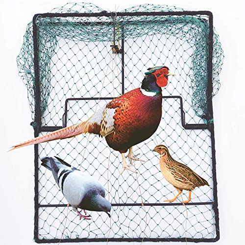 DSQSTMR Pigeon Bird Trap Trapping Hunting Quail Cage Sparrow Spring ...