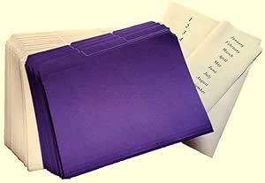 Amazon.com : Daily/Monthly 43-Folder Tickler File with REINFORCED TABS ...