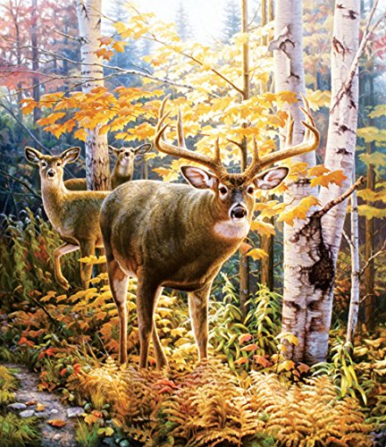 Jigsaw Puzzles Of Deer - Absolutely Stunning Wildlife Deer Puzzles