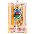 Amazon.com: Fancy Farms Popcorn Mini-Max Kit - 10.6 oz. kit, 24 per ...
