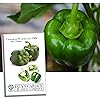 California Wonder 300 TMR Bell Pepper Seeds for Planting, 100+ Heirloom ...