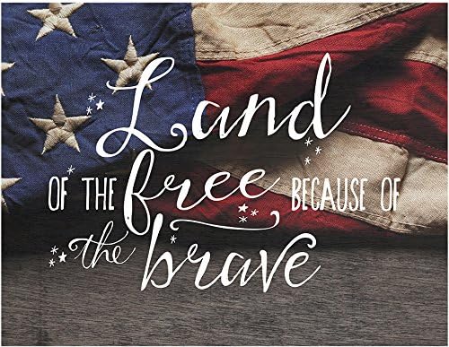 Jada Venia Light Box Inserts