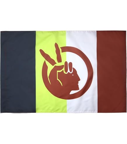 Native American Civil Rights Flag Handbook On American Culture And