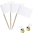Amazon.com | Blank Toothpick Flag Small Mini Labeling Marking DIY Stick ...