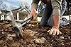 HART 1.5 Lb. Mini Mattock with Powe in Kuwait | Whizz Fertilizers ...