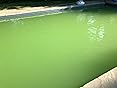 Amazon.com : REVIVE! Swimming Pool Phosphate and Algae Remover Chemical ...
