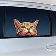 Amazon.com: LEMONSODA Cat Car Window Decals Funny 3D Weatherproof ...