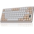 Amazon.com: Chilkey ND75 LP Low Profile Keyboard: 75 Percent Wireless Aluminum Mechanical Gaming ...
