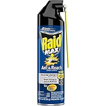 Raid Roach 4