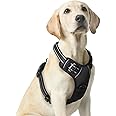 Amazon.com: Funfox Dog Harness No Pull, Adjustable Pet Vest Harness ...