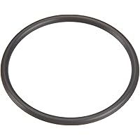 Amazon.com : Pentair U9-226 O-Ring Diffuser Replacement for Select Sta-Rite Pool and Spa Filters ...