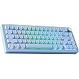 Amazon.com: EPOMAKER Tide65 QMK/VIA Wireless Gaming Keyboard, 65% ...