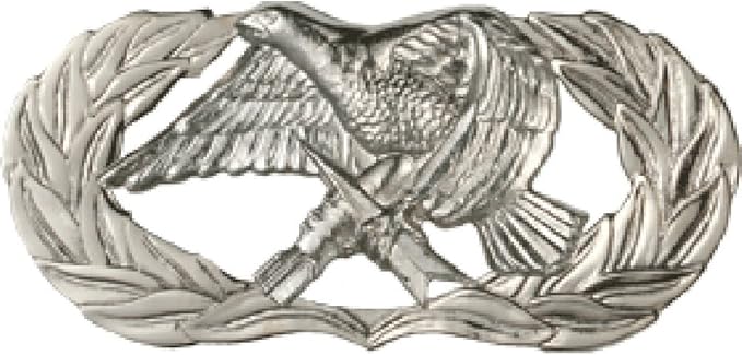 Amazon.com: Air Force Aircraft Munitions Maintenance Dress Brite Badges ...