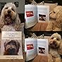COCKAPOO WORLD: A COMPLETE OWNERS GUIDE TO COCKAPOO CARE AND MANAGEMENT ...