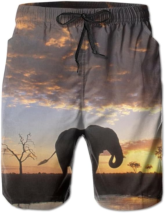PFZYJLJY Boardshort Elephant Men's Printed Summer Stretch Beach Shorts ...