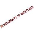 Amazon.com: Desert Cactus University of Maryland Terrapins UMD Terps ...