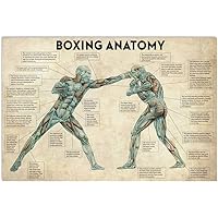 Amazon.com: CCPARTON Boxing Anatomy Metal Tin Signs Vintage Signs ...