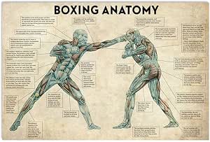 Amazon.com: CCPARTON Boxing Anatomy Metal Tin Signs Vintage Signs ...