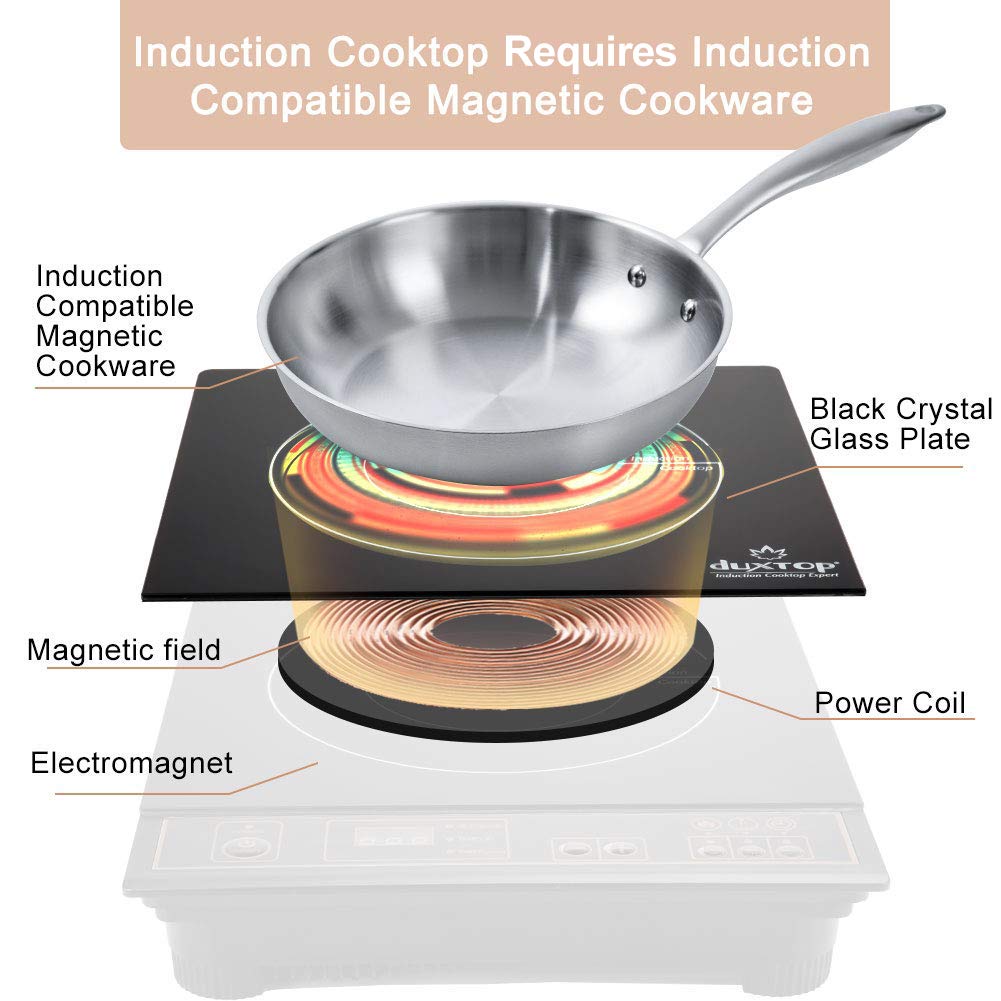 Duxtop 8100MC 1800W Portable Induction Cooktop Countertop Burner, Gold