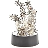 Amazon.com: PowerTRC Magnetic Desktop Sculpture (Acrobats) | Mini ...