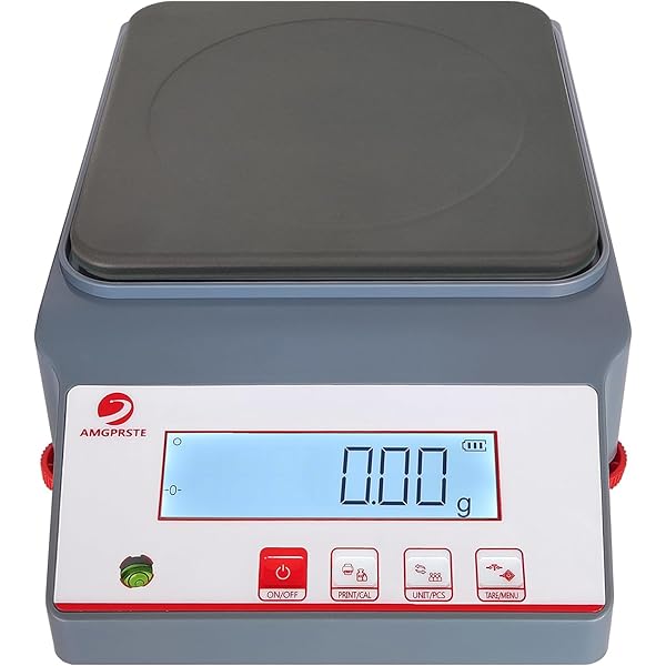 RUISHAN 3000 x 0.01g Lab Precision Digital Analytical Balance RS232 ...