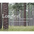 Amazon Longleaf Far As The Eye Can See A New Vision Of North