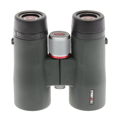 10 Best Compact Binoculars of 2019: Buyer's Guide & Reviews
