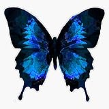 Amazon.com : EMC Graphics Yellow Butterfly Illustration Vinyl ...