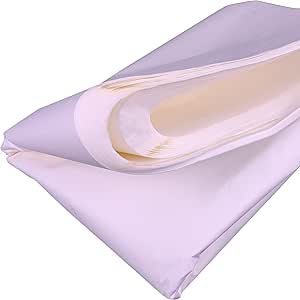 Carnival Papers Wet Strength Tissue Paper 60 Sheets : Amazon.ca: Home
