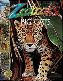 Zoobooks Big Cats: Amazon.com: Books