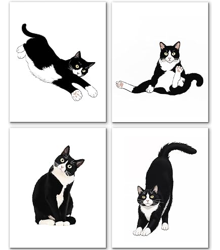 Tuxedo Cat Drawing Cute
