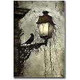 Amazon.com: Canvas Painting Wall Picture Prints Arthur Rackham's Bird ...