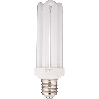 Designers Edge L765 65-Watt Fluorescent Bulb Replacement, Equivalent to ...