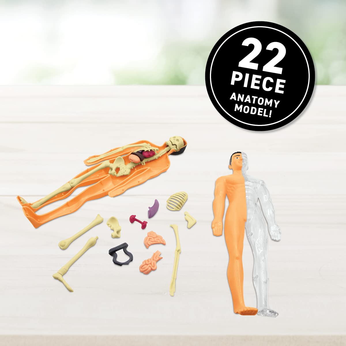 Mua Virtual Reality Human Body Gift Box- Illustrated Interactive VR ...