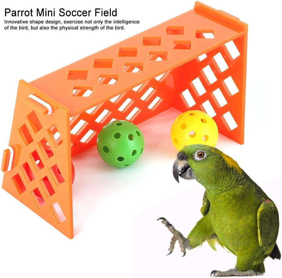 Parrot Training Toys Mini Soccer Football Field Bird Intelligence Toy ...