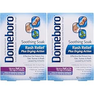 Amazon.com: Domeboro Astringent Powder, 12 Packets, 2 Count: Health ...